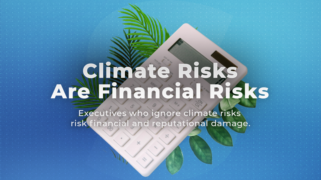 Climate Risks Are Financial Risks - Standard Carbon