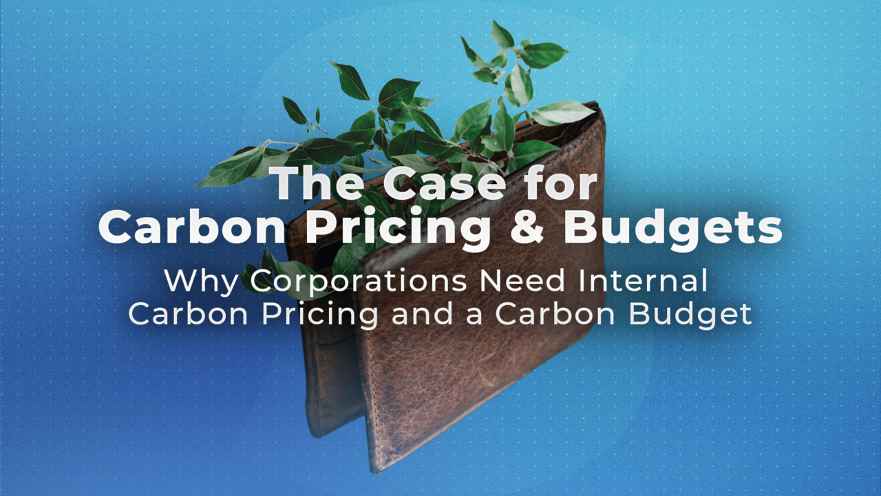 Why Corporations Need Internal Carbon Pricing and a Carbon Budget ...